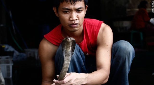 Snake Burgers | Amusing Planet